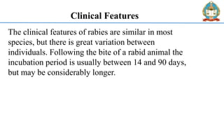 Rabies | PPT