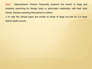 Rabies | PPTX