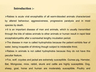 Rabies | PPTX
