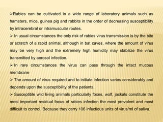 Rabies | PPTX