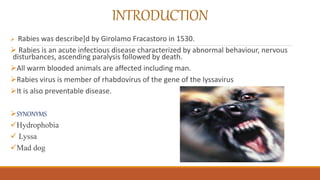 Rabies | PPTX | Infectious Diseases | Diseases and Conditions