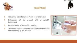 Rabies | PPTX | Infectious Diseases | Diseases and Conditions