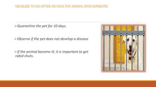 Rabies | PPTX