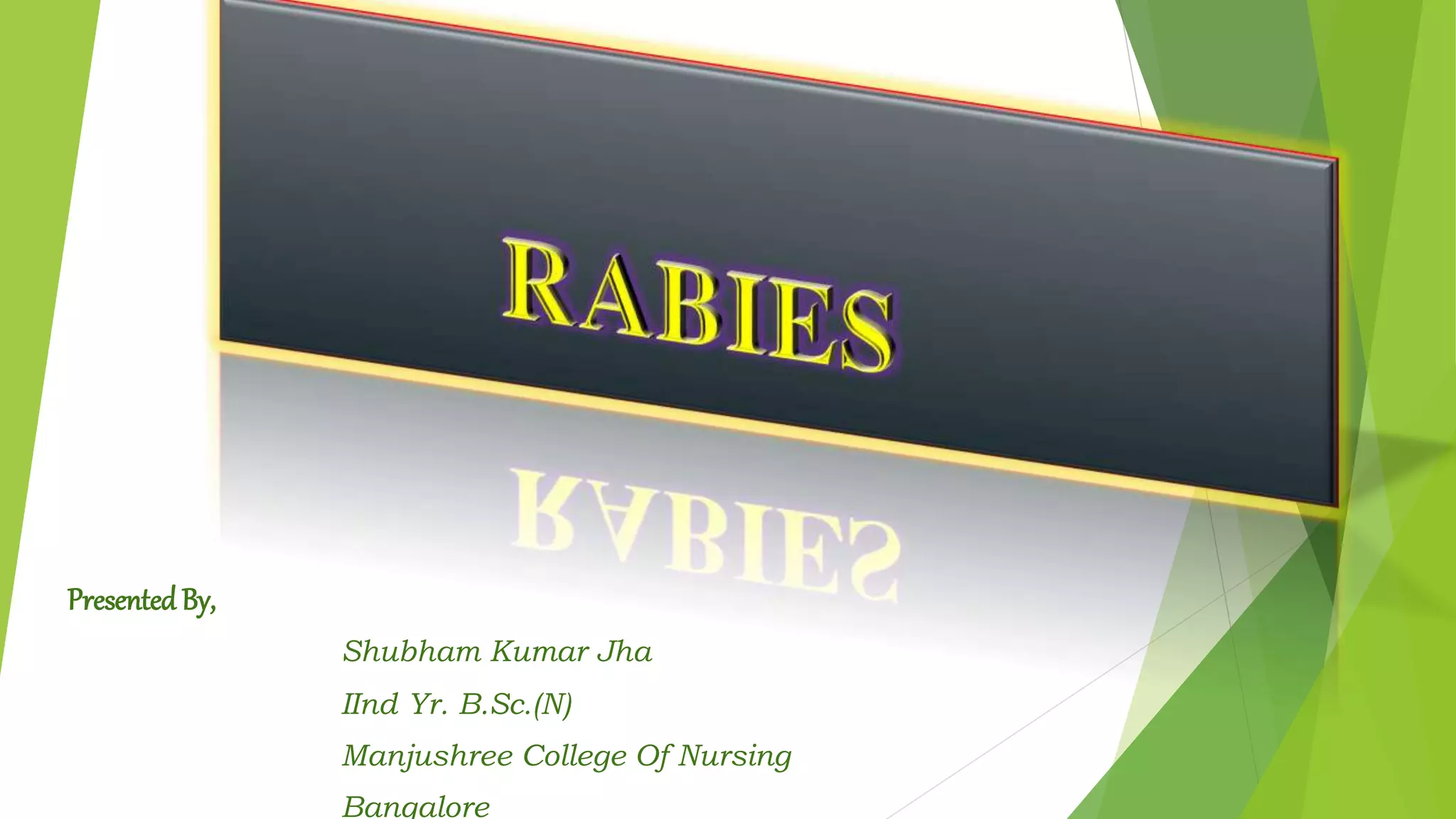 Rabies | PPTX