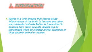 Rabies | PPTX