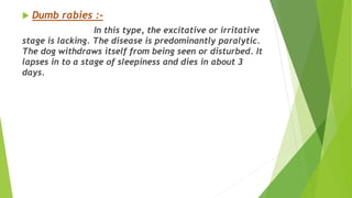 Rabies | PPTX