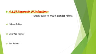 Rabies | PPT