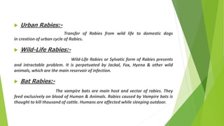 Rabies | PPTX | Infectious Diseases | Diseases and Conditions