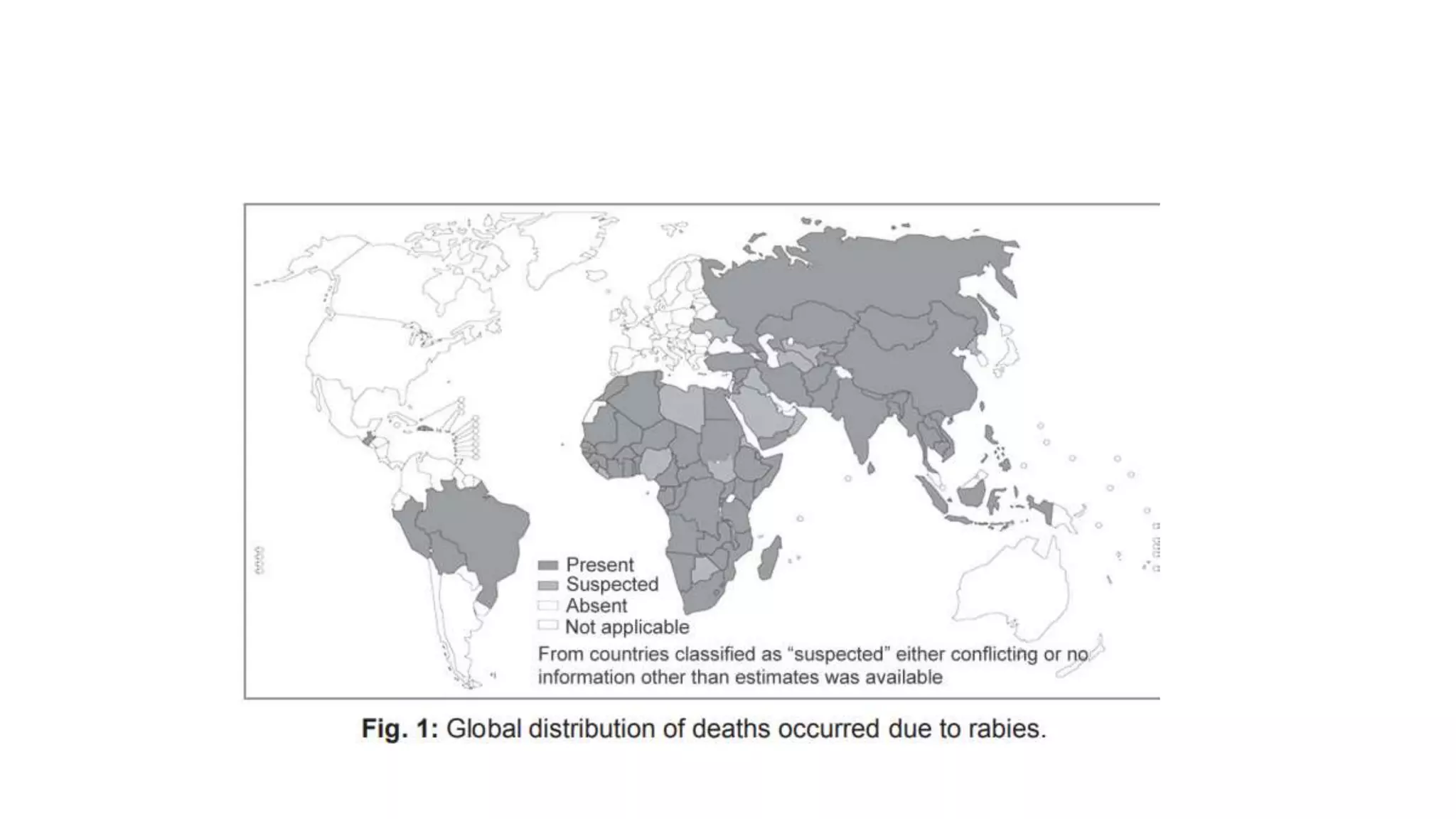 Rabies in Children | PPTX