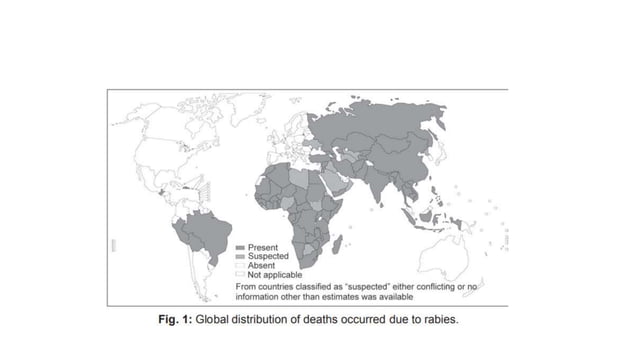 Rabies in Children | PPTX | Brain and Nervous System Disorders ...