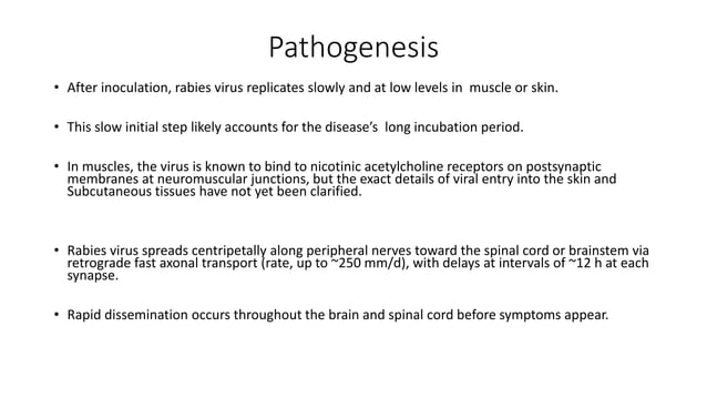 Rabies in Children | PPTX | Brain and Nervous System Disorders ...