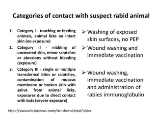 Rabies | PPT