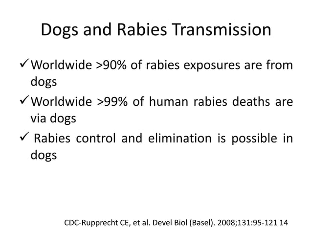Rabies | PPT
