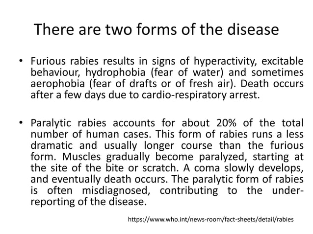 Rabies | PPT
