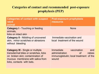 Rabies Infection | PDF