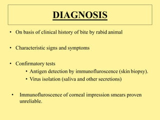 Rabies Diagnosis