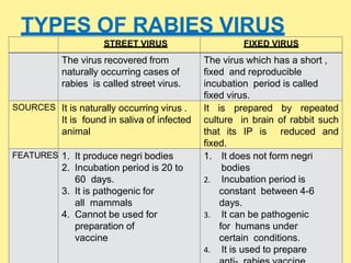 Rabies Infection | PPT