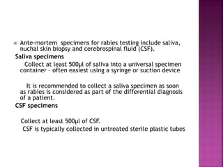 Rabies ,microbiology | PPTX