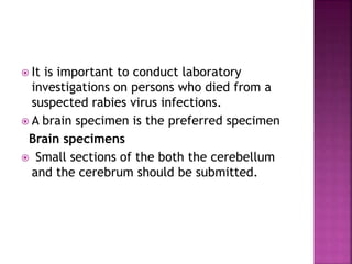 Rabies ,microbiology | PPTX