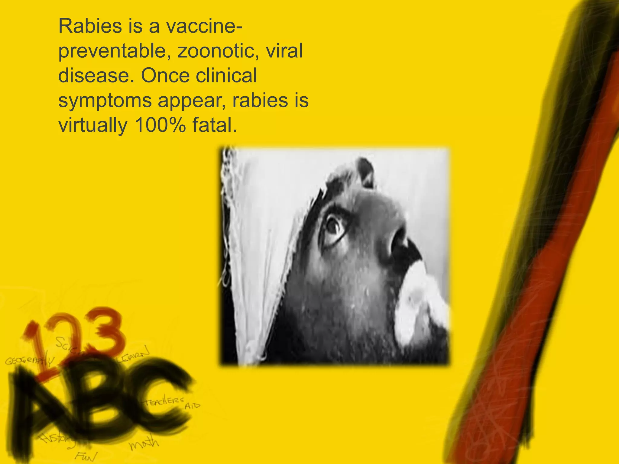 Rabies.pdf