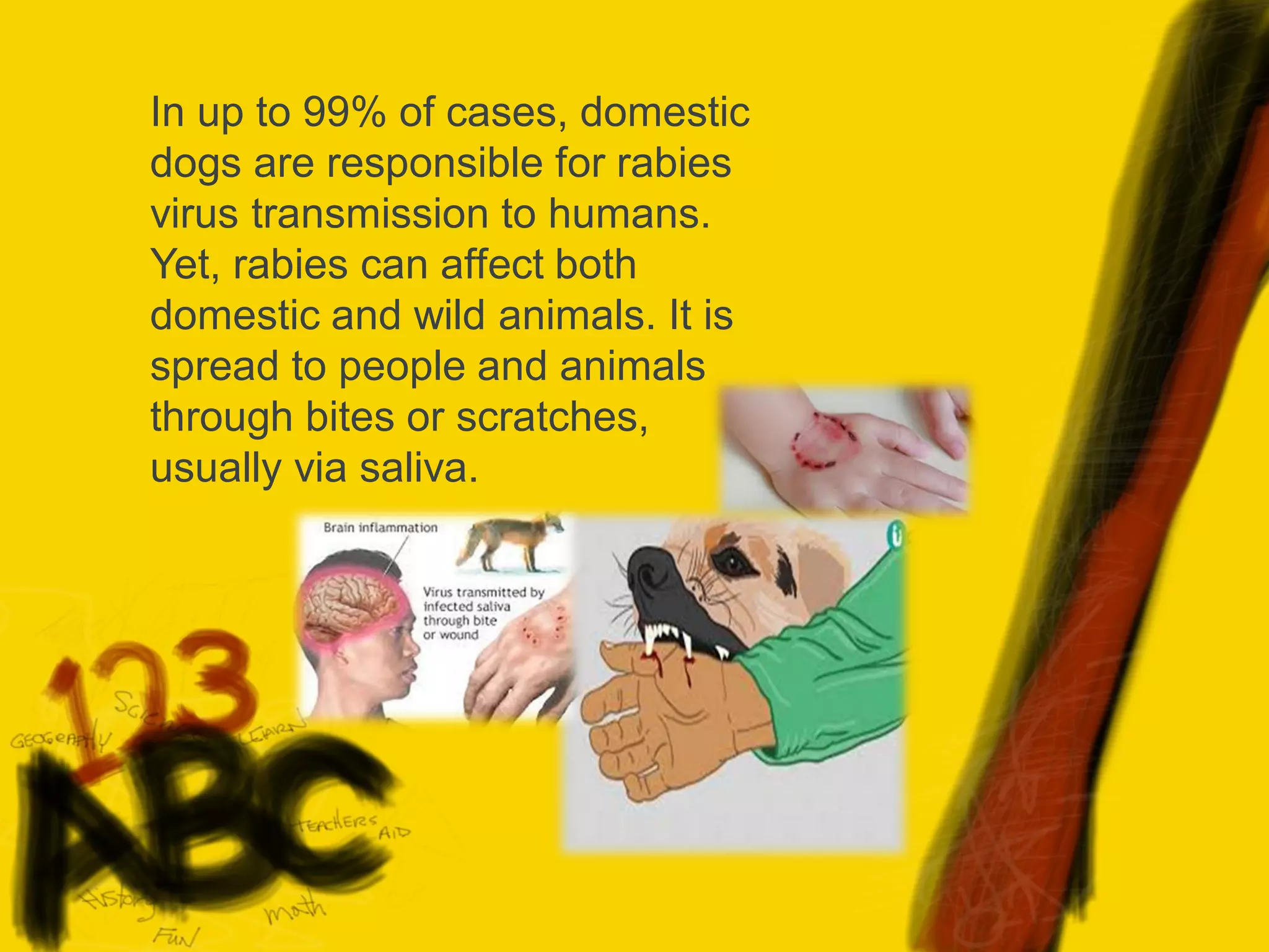 Rabies.pdf