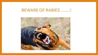 Rabies.pptx