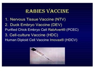 RABIES | PPTX