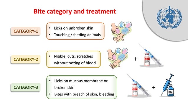 Rabies.pptx | First Aid | Injuries