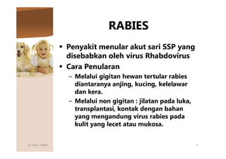 rabies.pdf