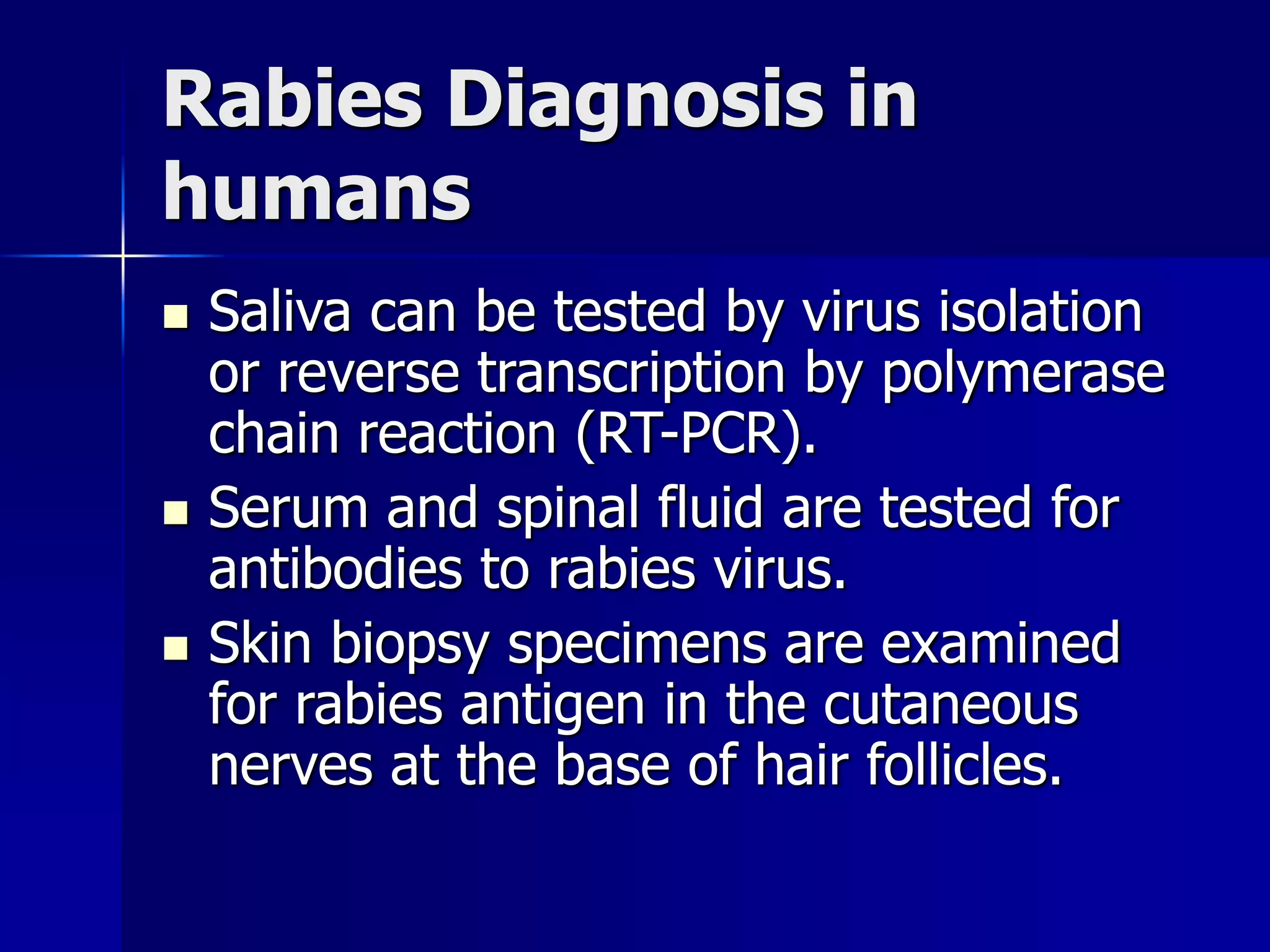 rabies.ppt | Infectious Diseases | Diseases and Conditions