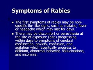rabies.ppt | Infectious Diseases | Diseases and Conditions