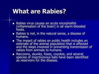 rabies.ppt | Infectious Diseases | Diseases and Conditions