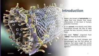 Rabies.E.pptx