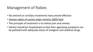 Rabies | PPTX