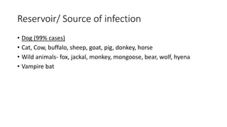 Rabies | PPTX
