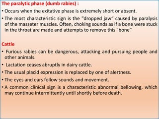 RABIES.pptx
