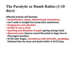 Rabies.pptx
