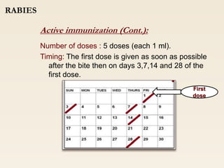 Rabies.ppt