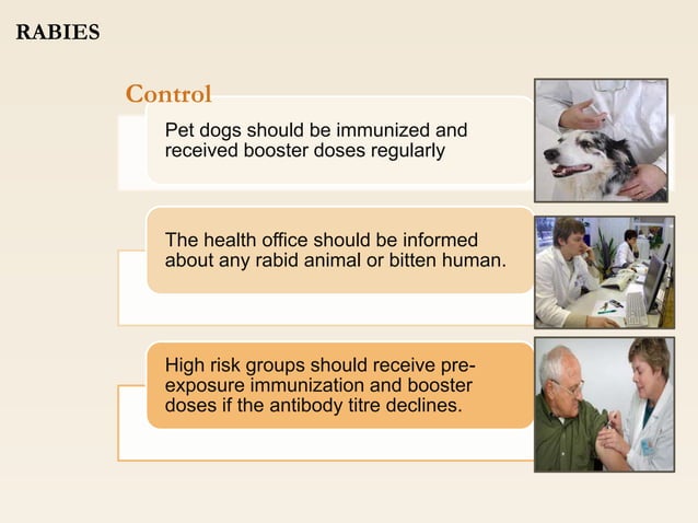 Rabies.ppt