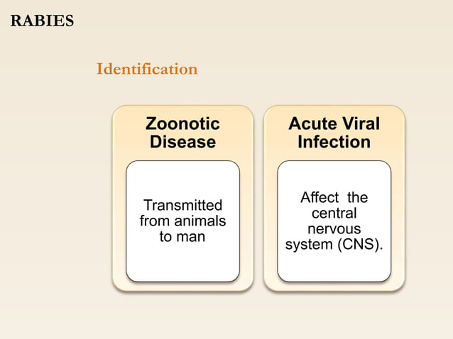Rabies.ppt