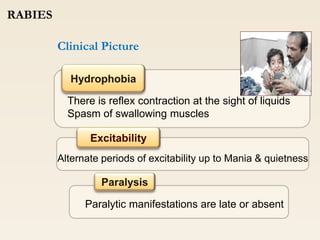 Rabies.ppt