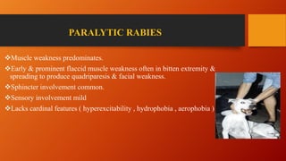 RABIES.pptx | Infectious Diseases | Diseases and Conditions