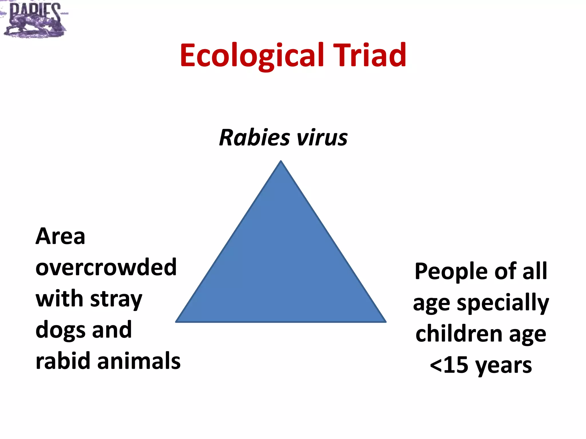Rabies: The Most Fatal Disease.pptx