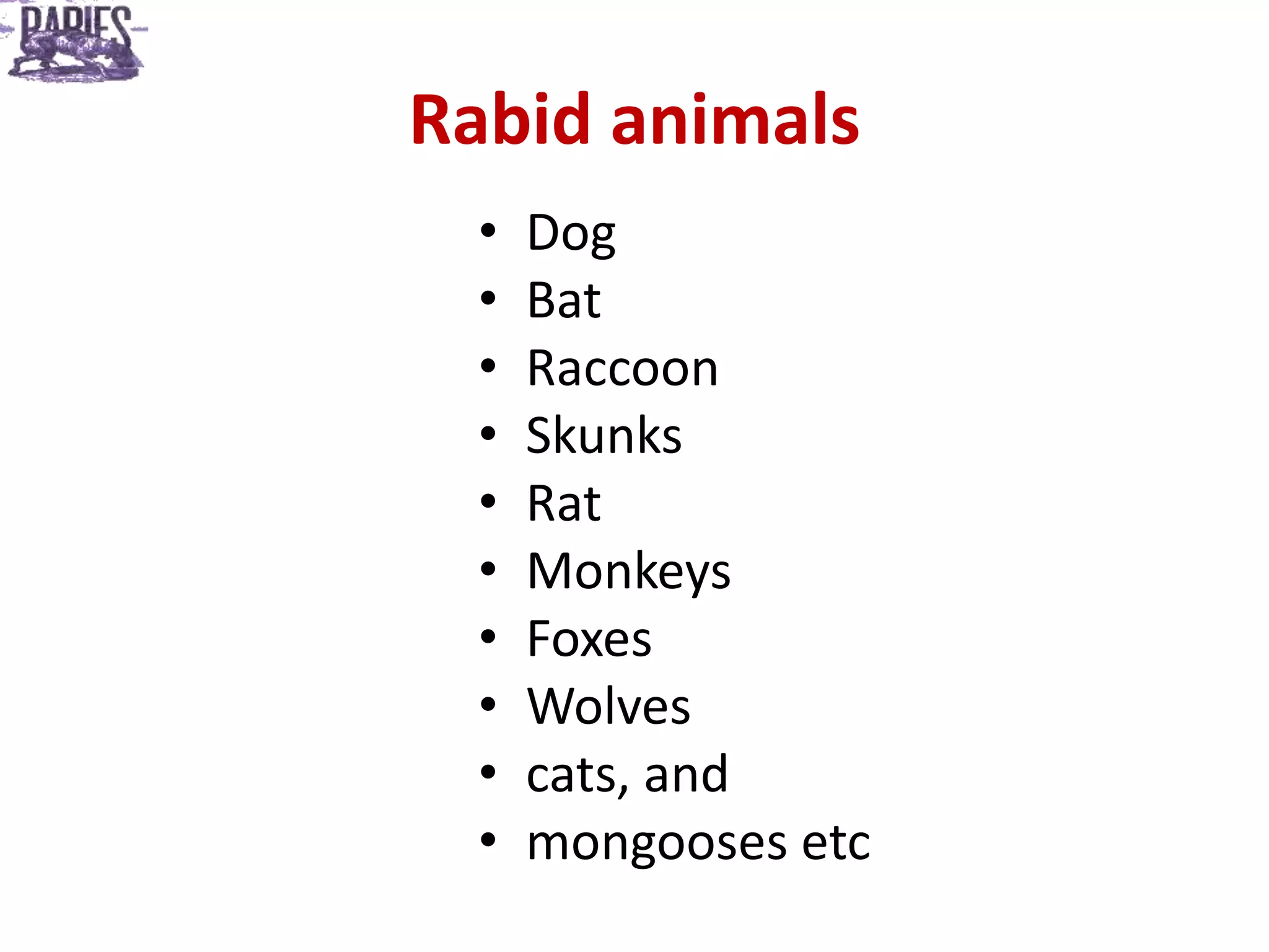 Rabies: The Most Fatal Disease.pptx