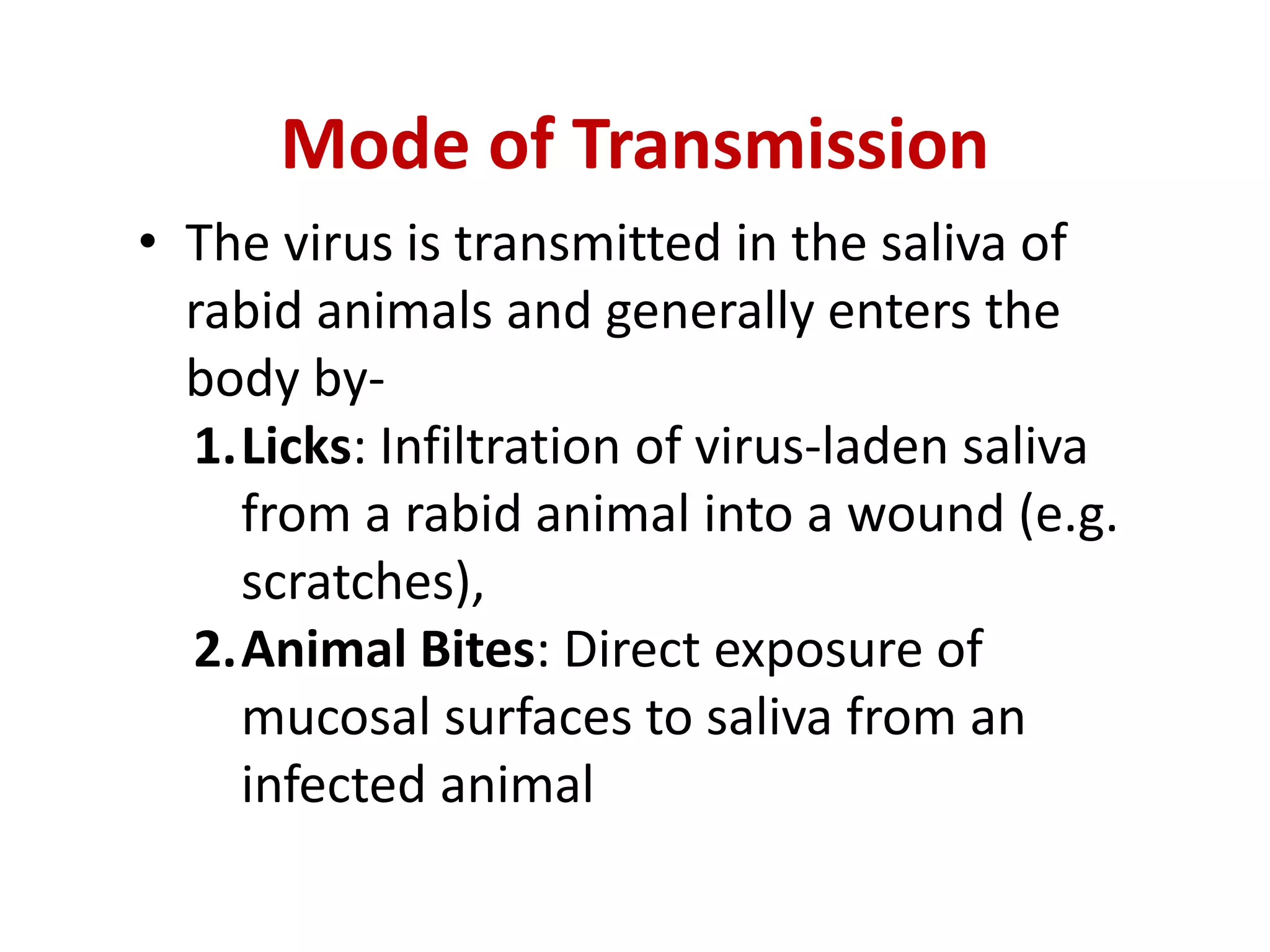 Rabies: The Most Fatal Disease.pptx