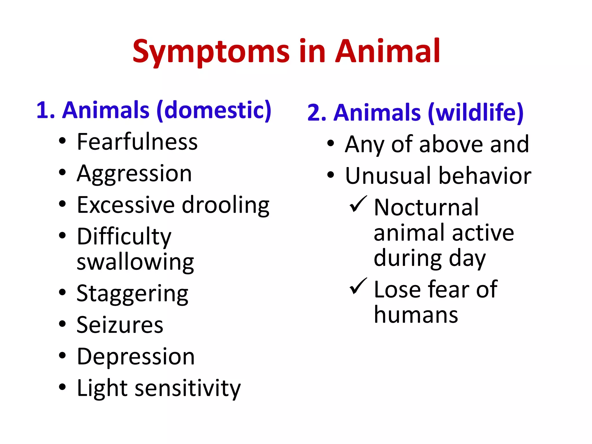 Rabies: The Most Fatal Disease.pptx