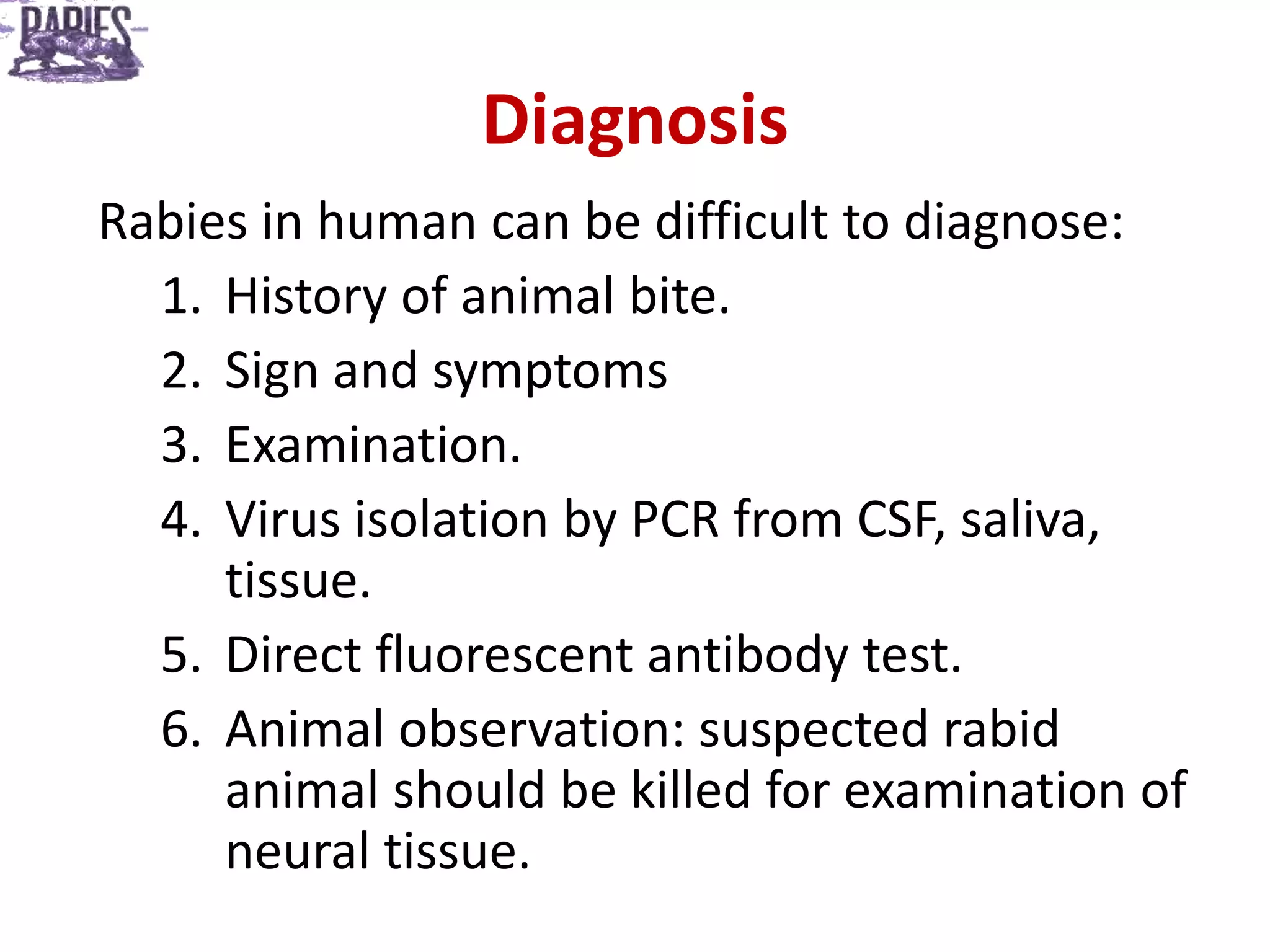 Rabies: The Most Fatal Disease.pptx