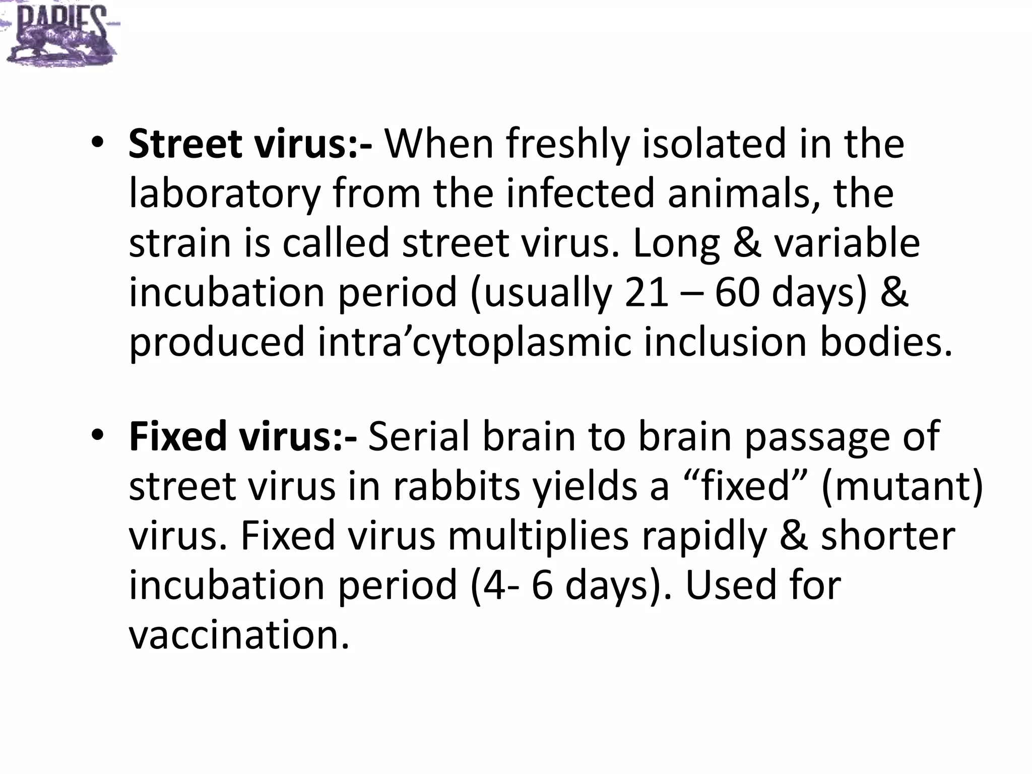 Rabies: The Most Fatal Disease.pptx