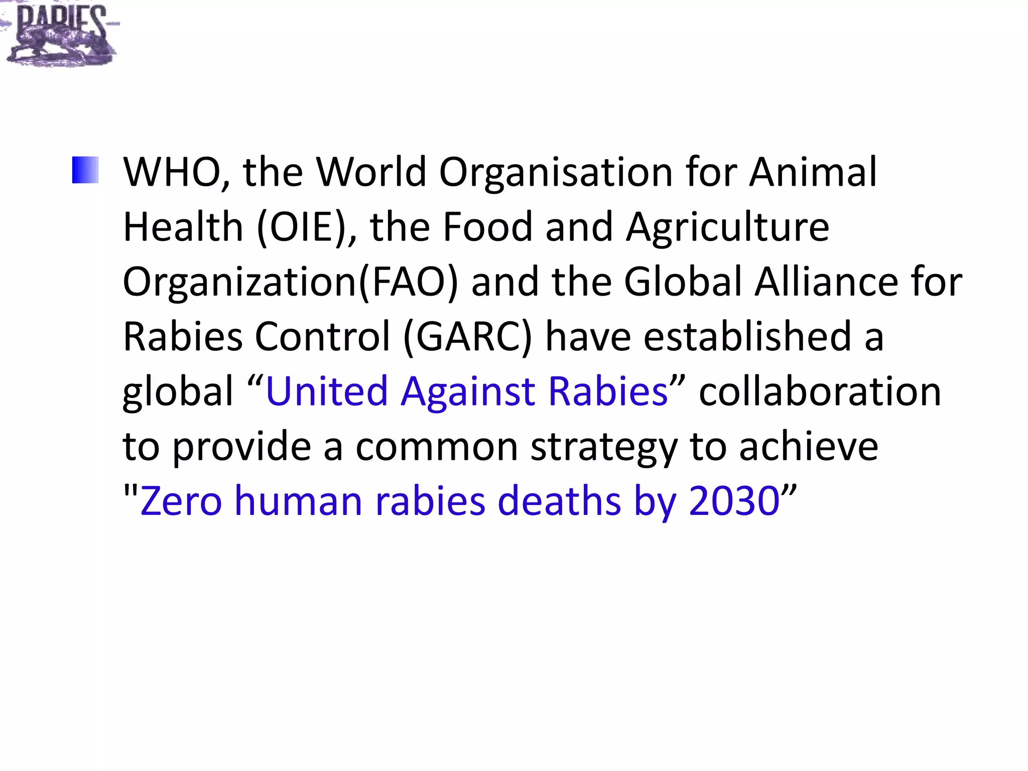 Rabies: The Most Fatal Disease.pptx