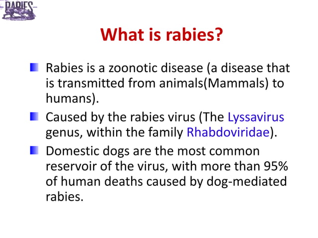 Rabies: The Most Fatal Disease.pptx